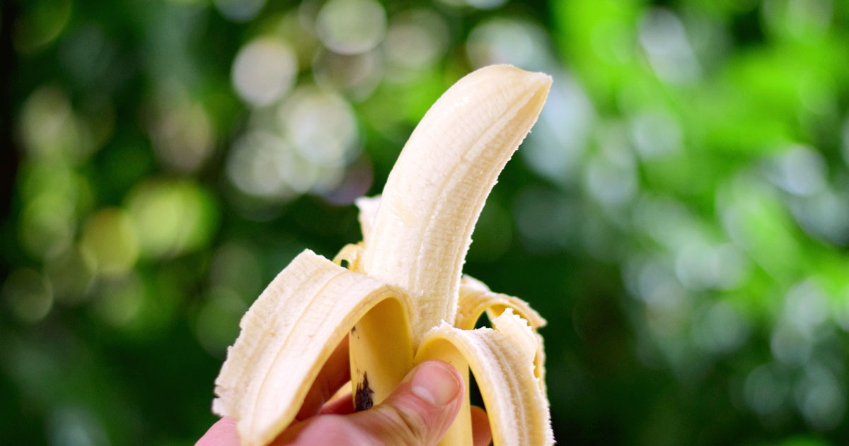 Banane Langer Haltbar Machen