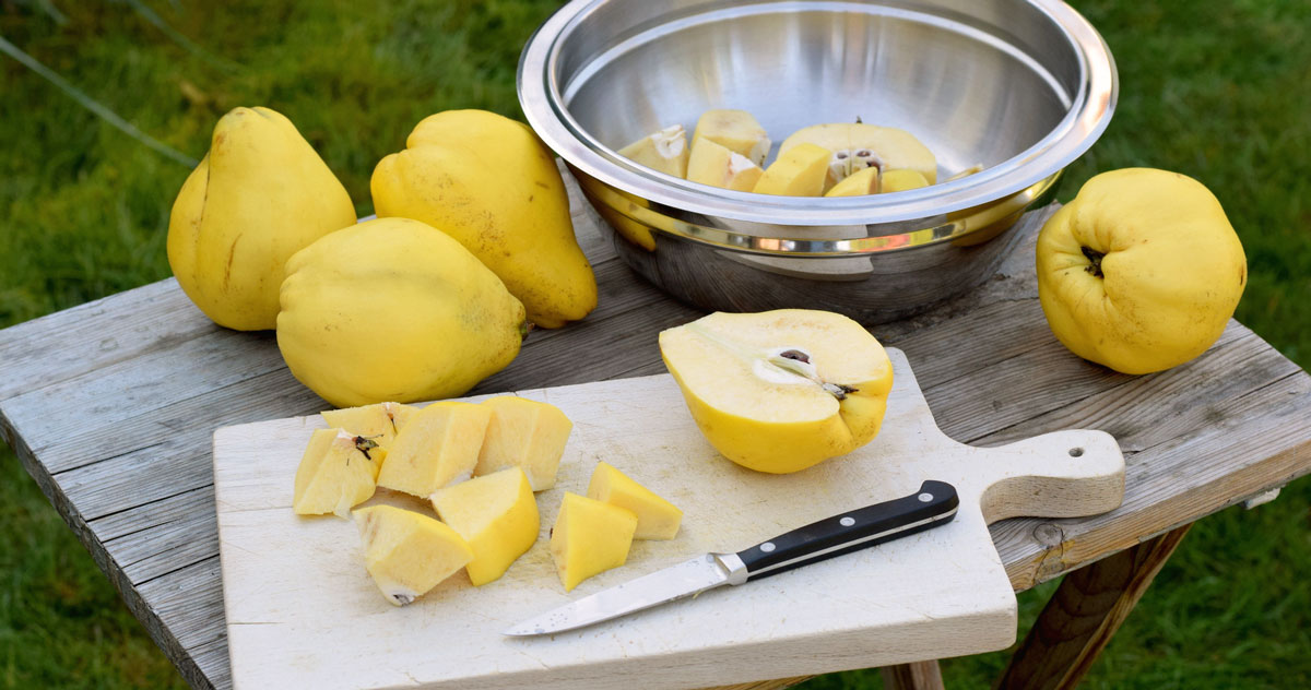 Quitten haltbar machen: 3 einfache Tipps und Tricks